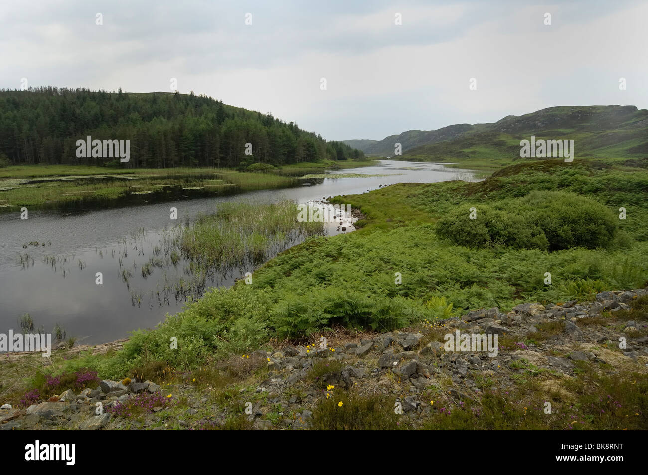 Landscape Scottish Highlands with lake Stock Photo - Alamy