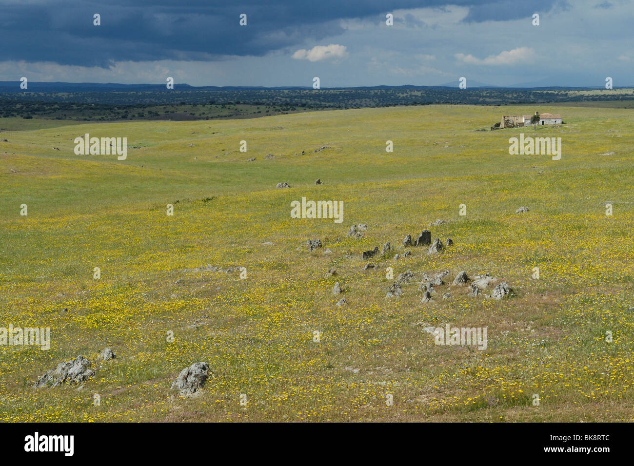 Steppe landscape Extremadura Stock Photo - Alamy