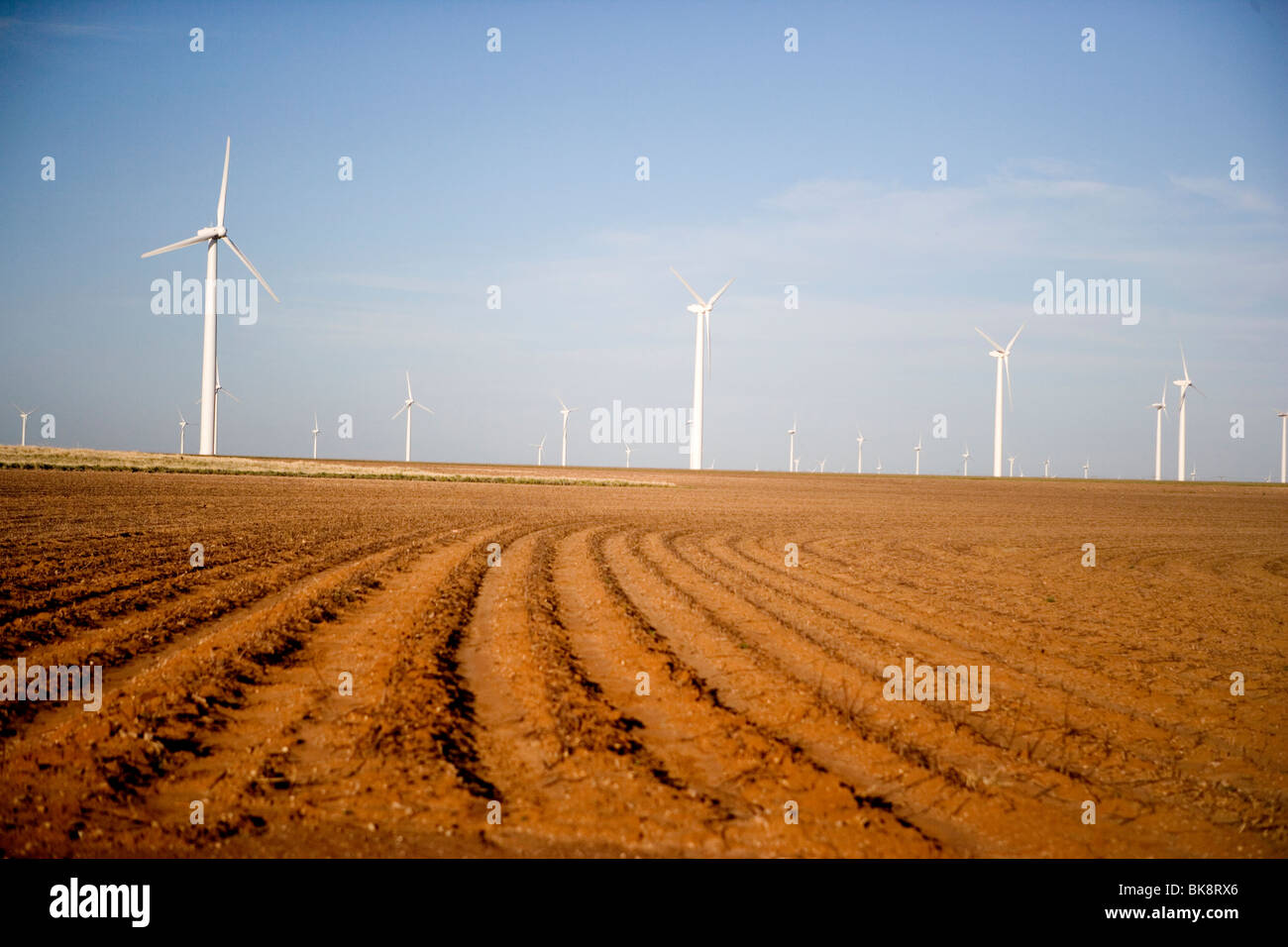 USA, West Texas, Roscoe County, wind turbines in field Stock Photo - Alamy