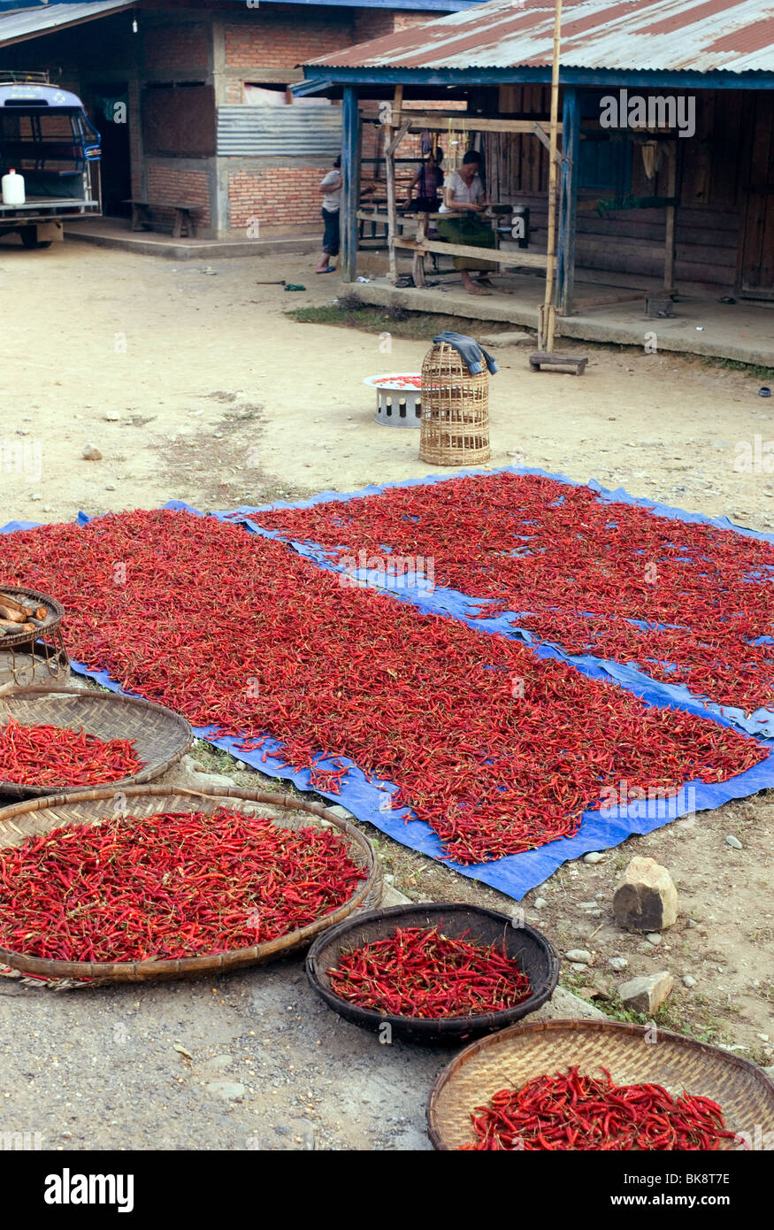 Xieng Khouang Province (Laos) : drying of peppers Stock Photo - Alamy