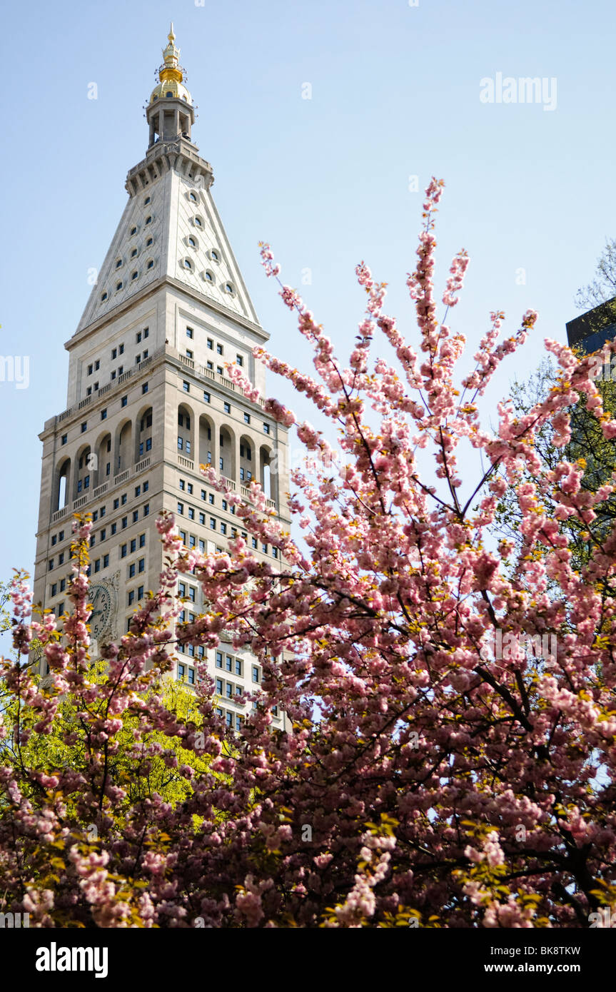 Madison square park tower hi-res stock photography and images - Alamy