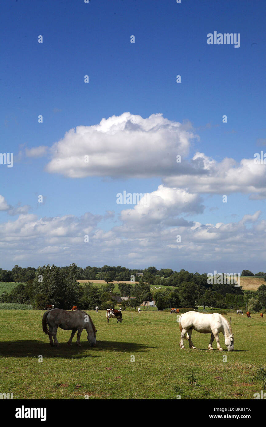 Mayenne department hi-res stock photography and images - Alamy