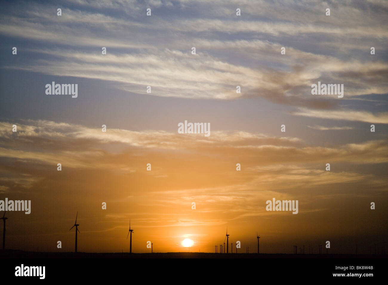 USA, Texas, Roscoe County, West Texas Wind Turbines Stock Photo - Alamy