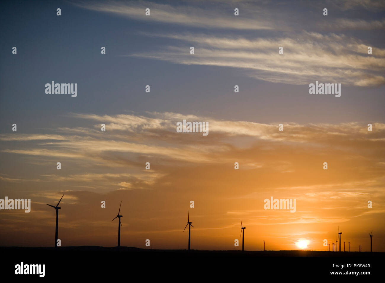 USA, Texas, Roscoe County, West Texas Wind Turbines Stock Photo - Alamy