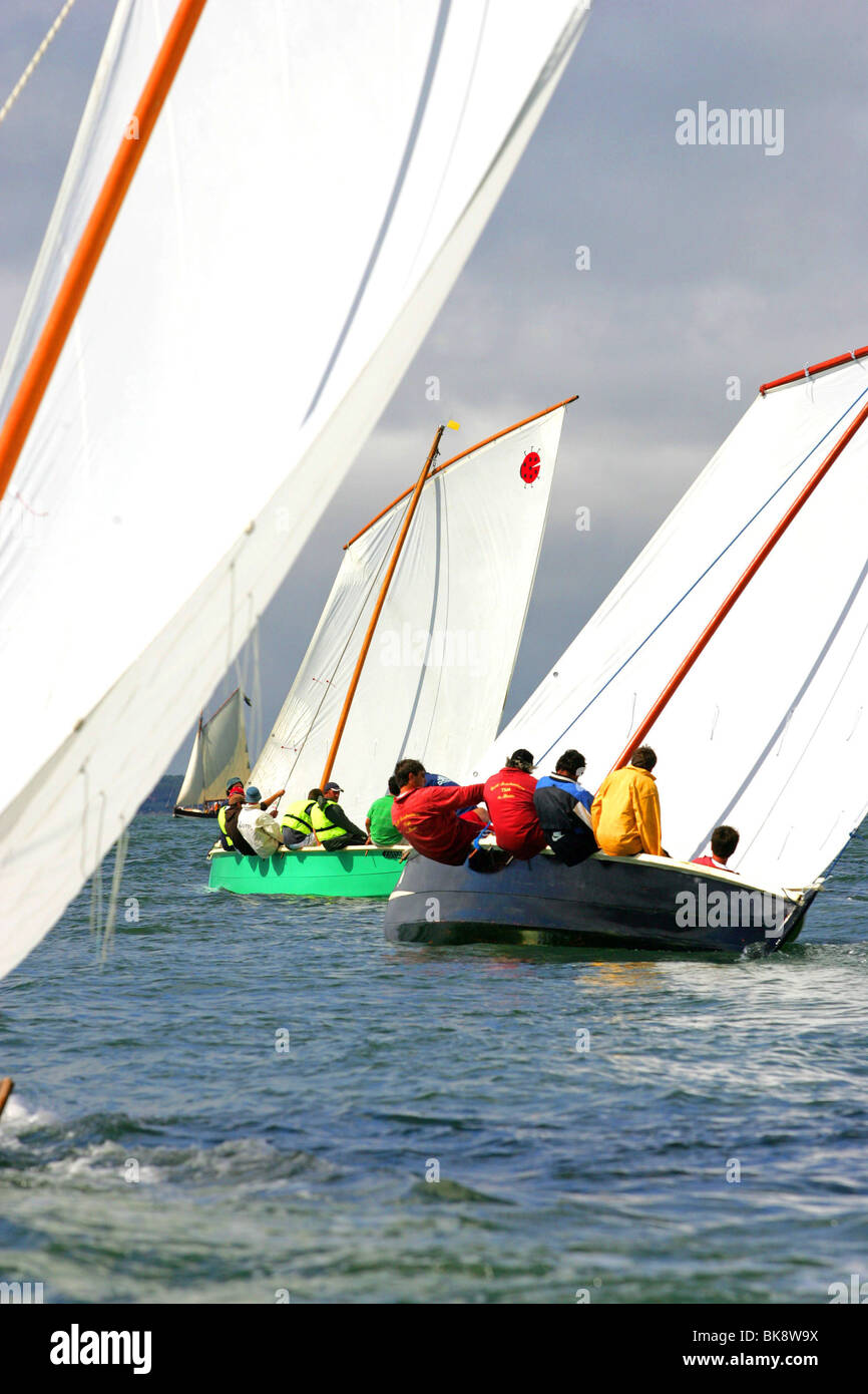regatta in the Arcachon Bay Stock Photo - Alamy