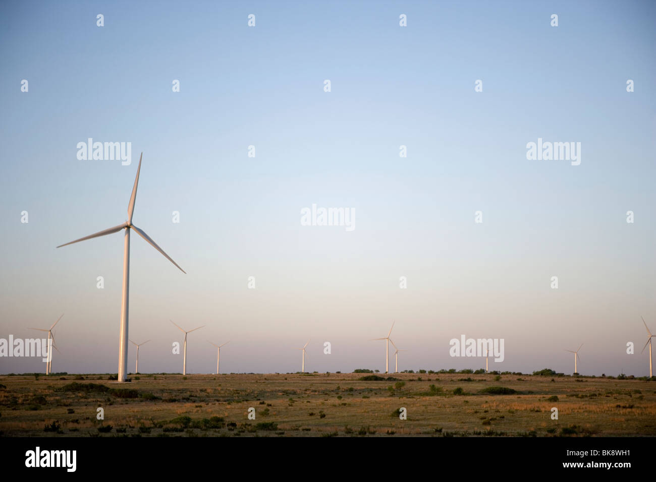 USA, Texas, Roscoe County, West Texas wind turbines Stock Photo - Alamy