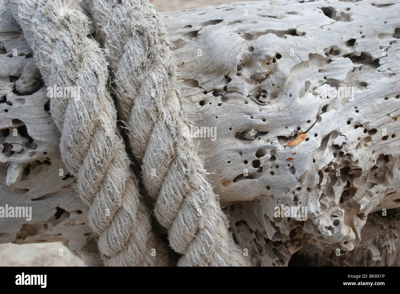 Rope and driftwood hi-res stock photography and images - Alamy