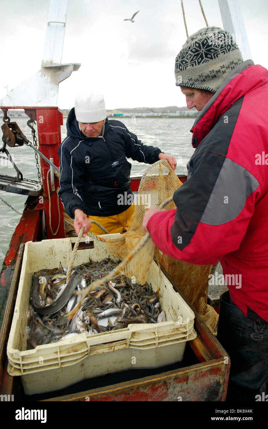 River shrimp estuary hi-res stock photography and images - Alamy