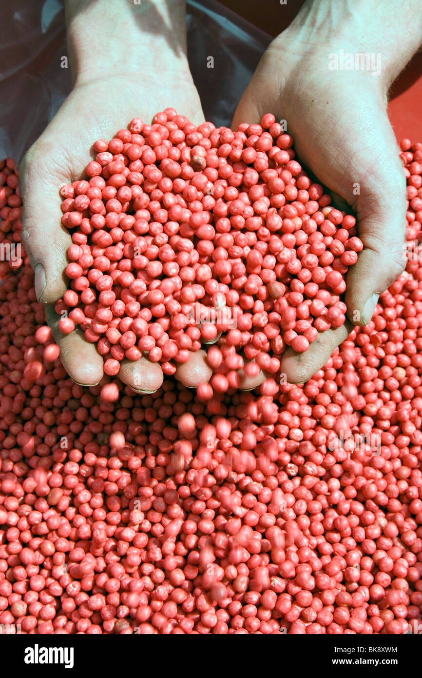 Treated Seed Stock Photos & Treated Seed Stock Images - Alamy