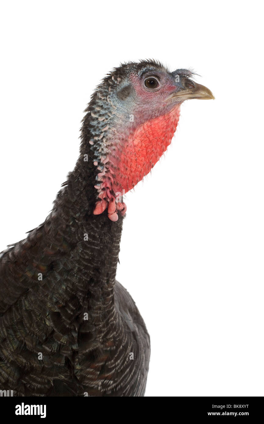 Photo tha hi-res stock photography and images - Alamy