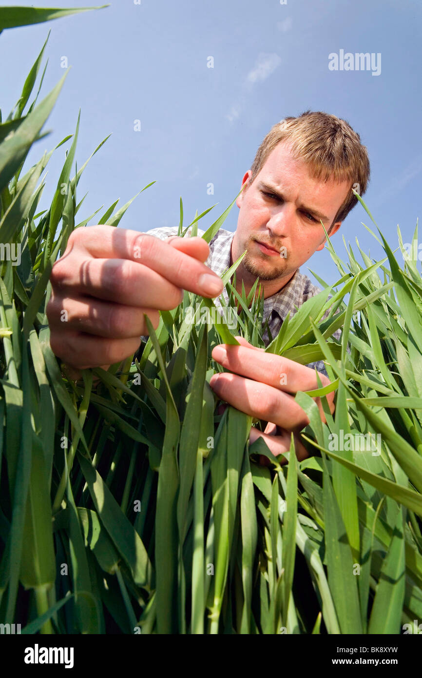 Seed scientist hi-res stock photography and images - Alamy
