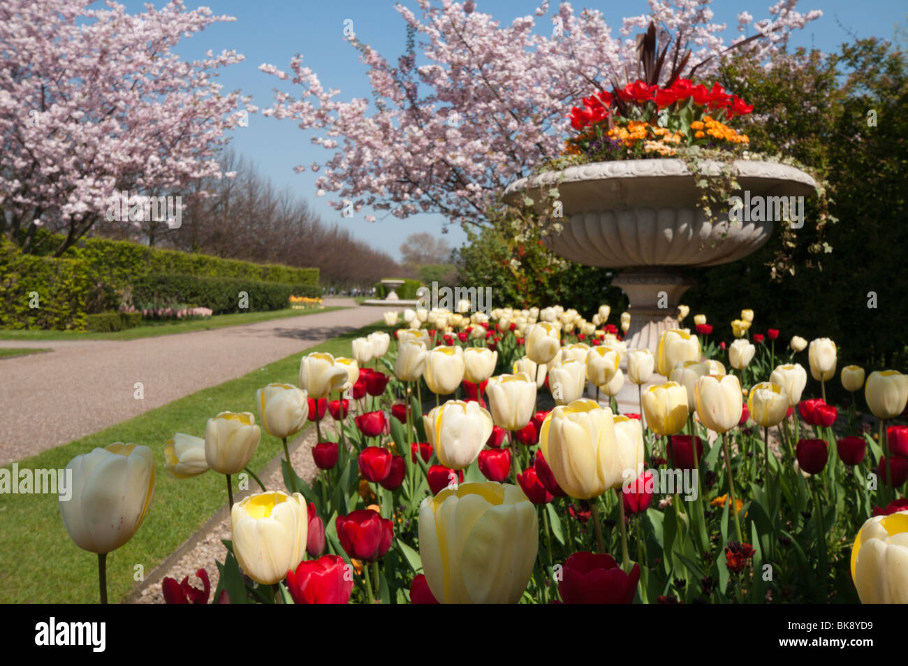 Regents Park Spring Flowers Stock Photo - Alamy