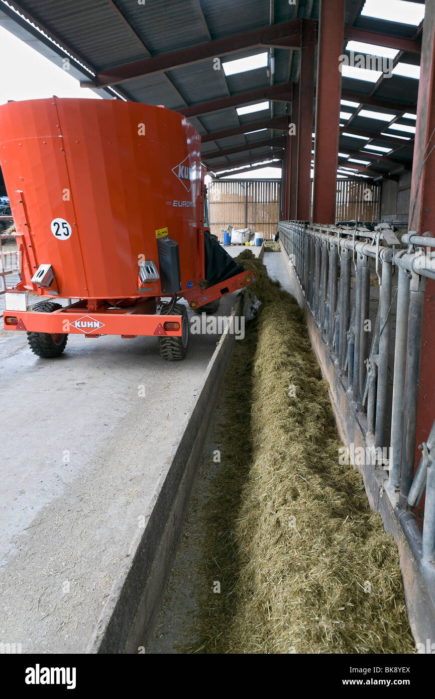 Cow concentrate mix hi-res stock photography and images - Alamy