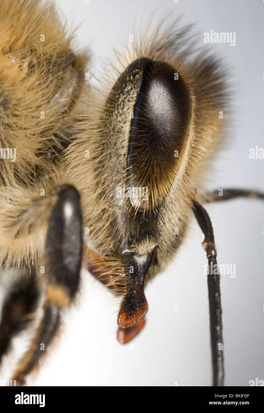 Satellite photo s hi-res stock photography and images - Alamy