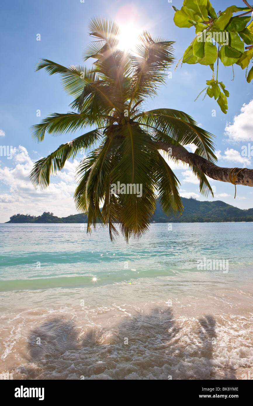 Isolated beaches hi-res stock photography and images - Alamy
