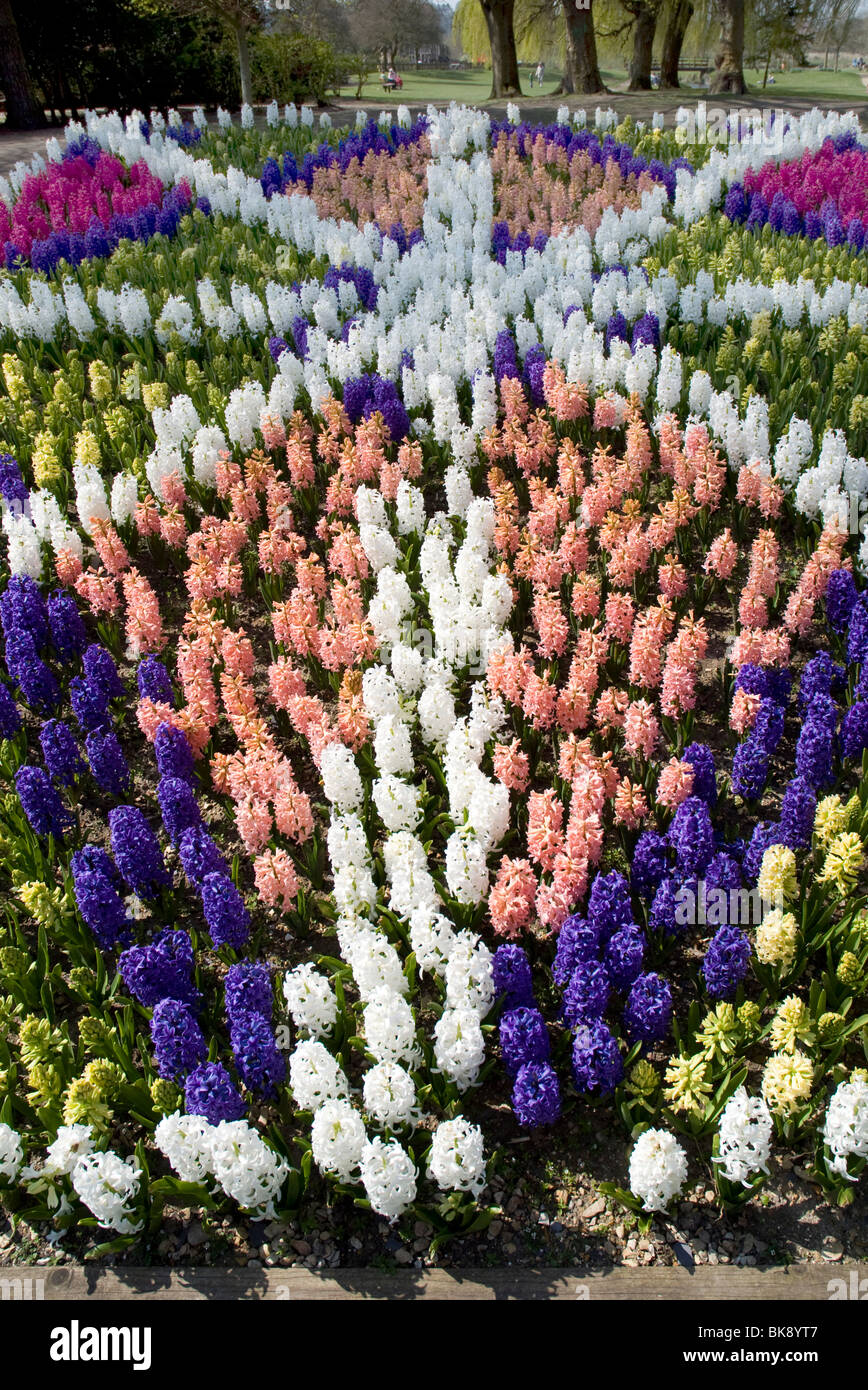 Queen elizabeth park flowers uk hi-res stock photography and images - Alamy