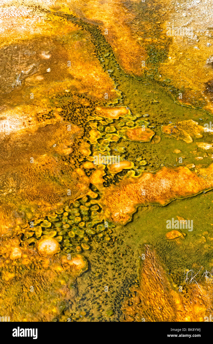 Yellowstone und geothermie hi-res stock photography and images - Alamy