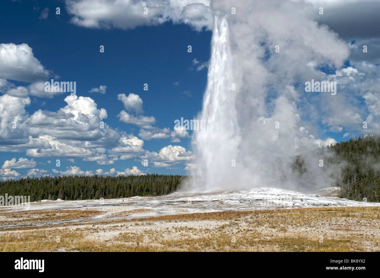 Old faithful and upper geyser basin hi-res stock photography and images ...