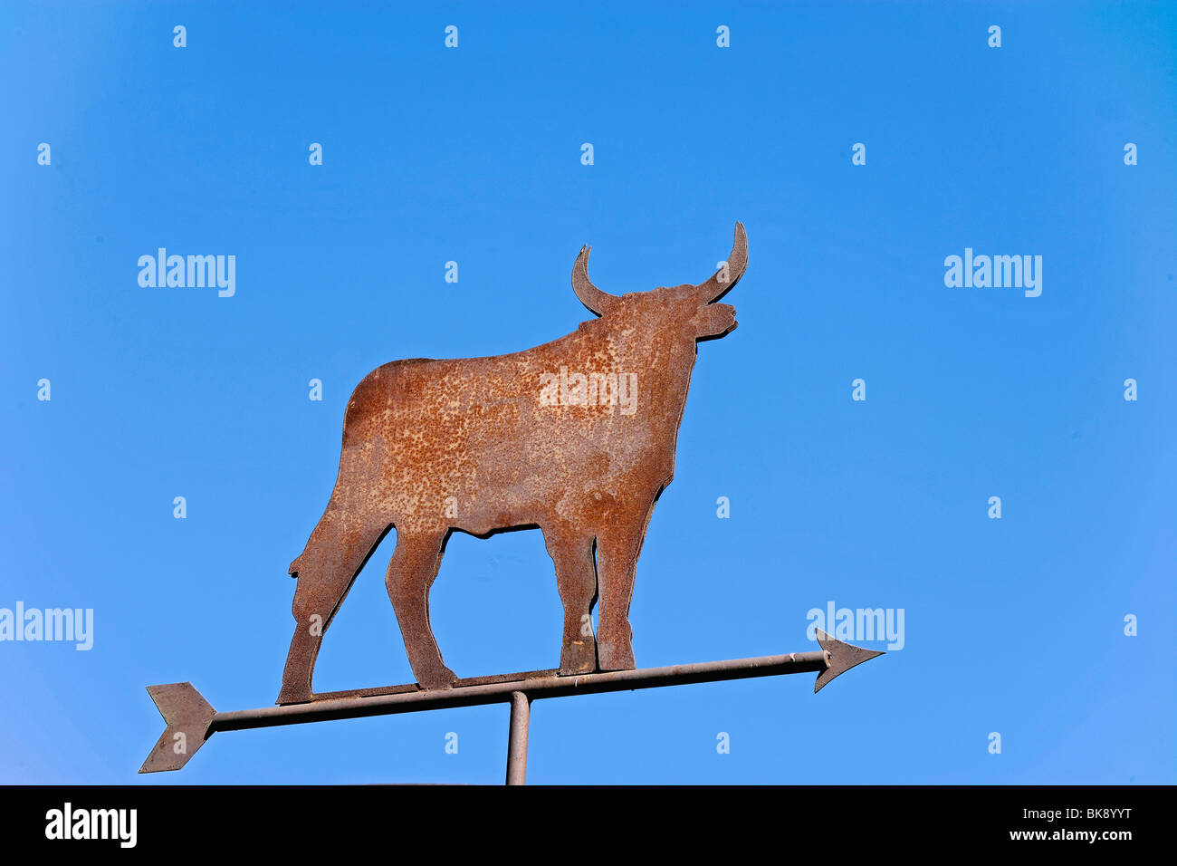 Weather vane in the shape of a Camargue cow Stock Photo - Alamy