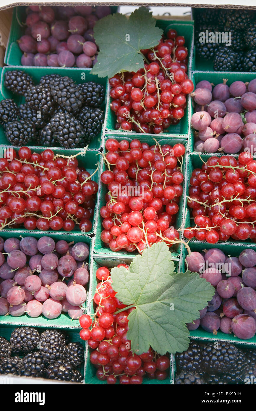 Fruit and vegetabl hi-res stock photography and images - Alamy