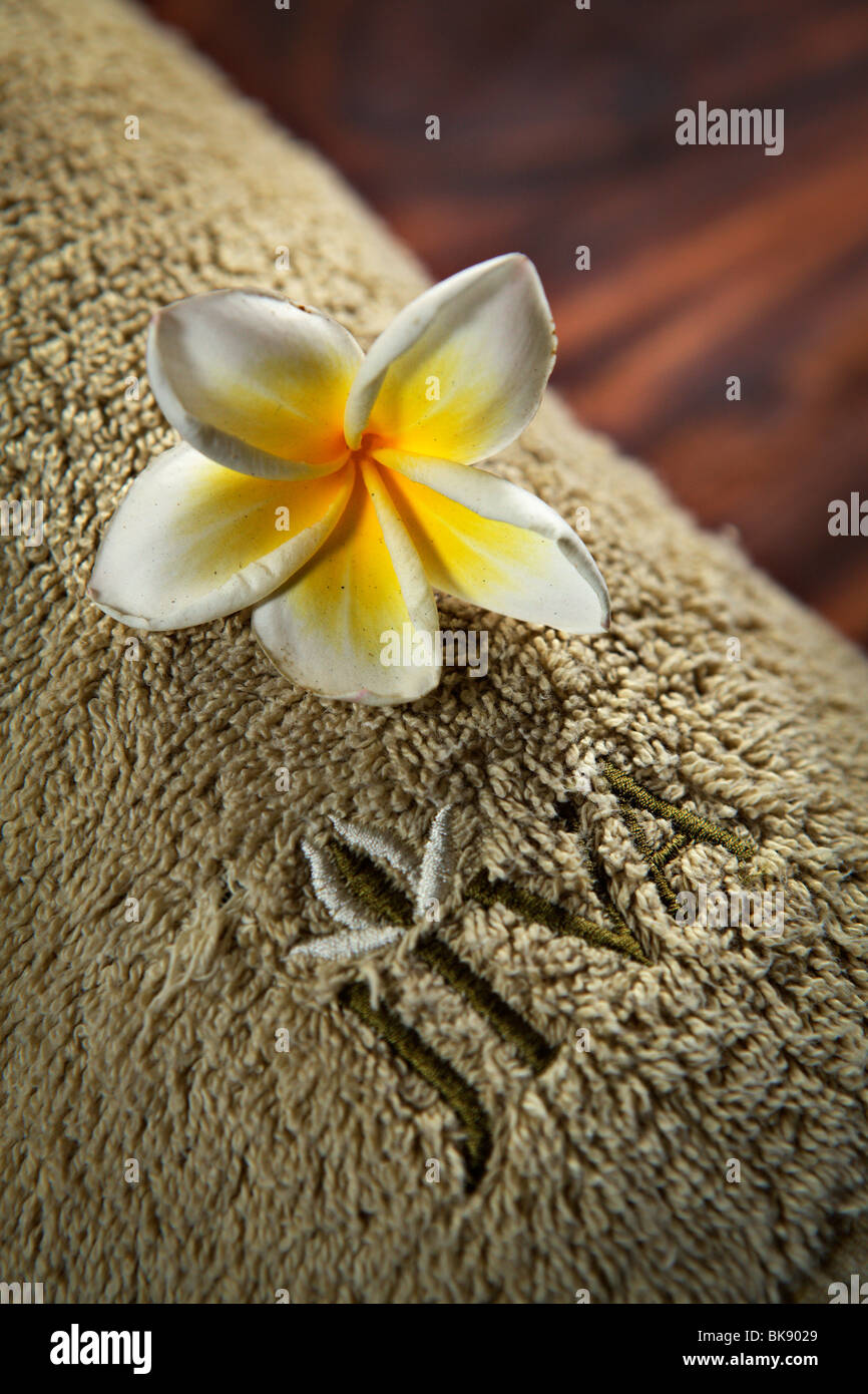 Jiva Spa is the high-quality spa chain of Taj Hotels. Treatments ...