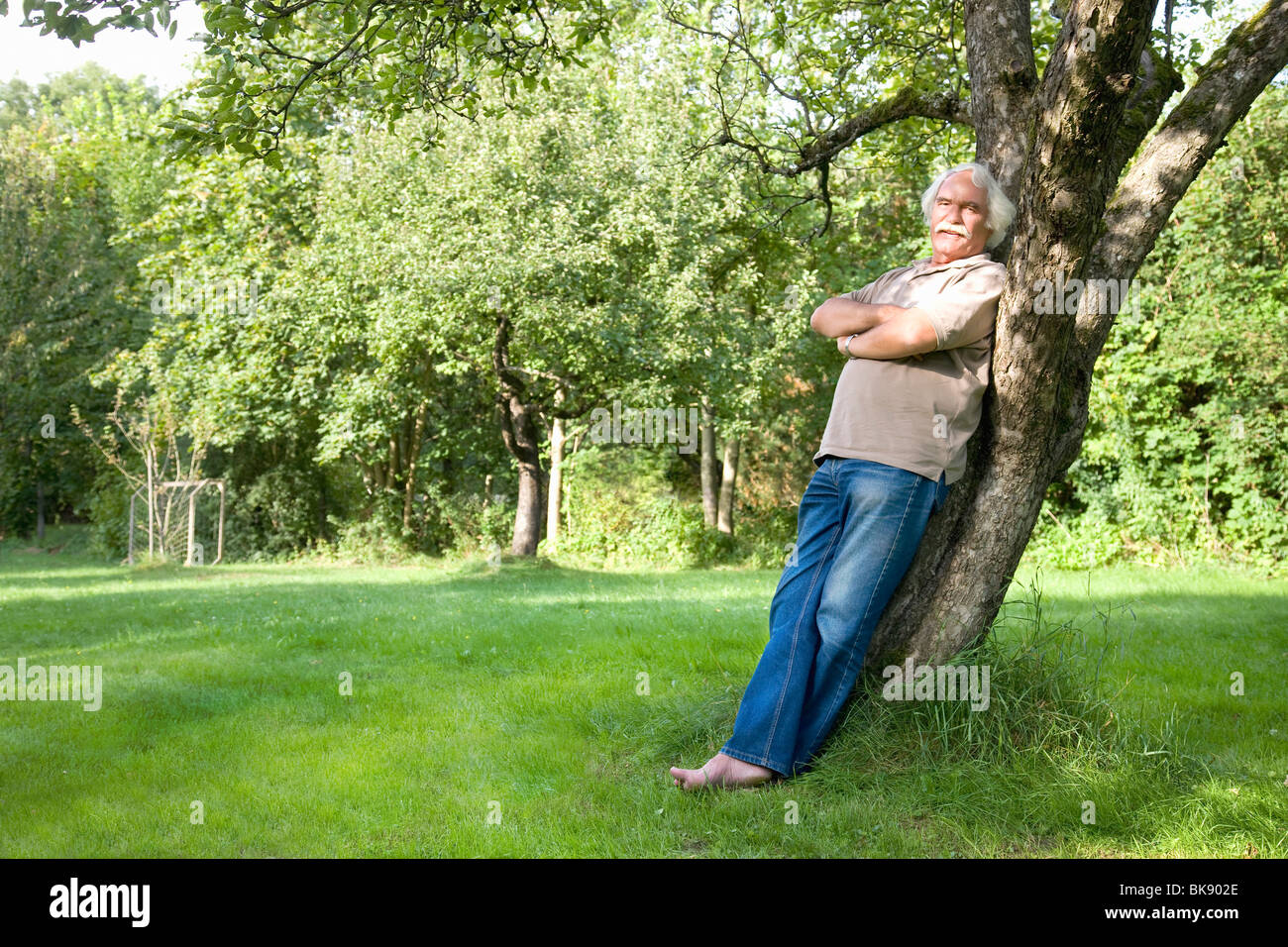 Senior man leaning against tree hi-res stock photography and images - Alamy