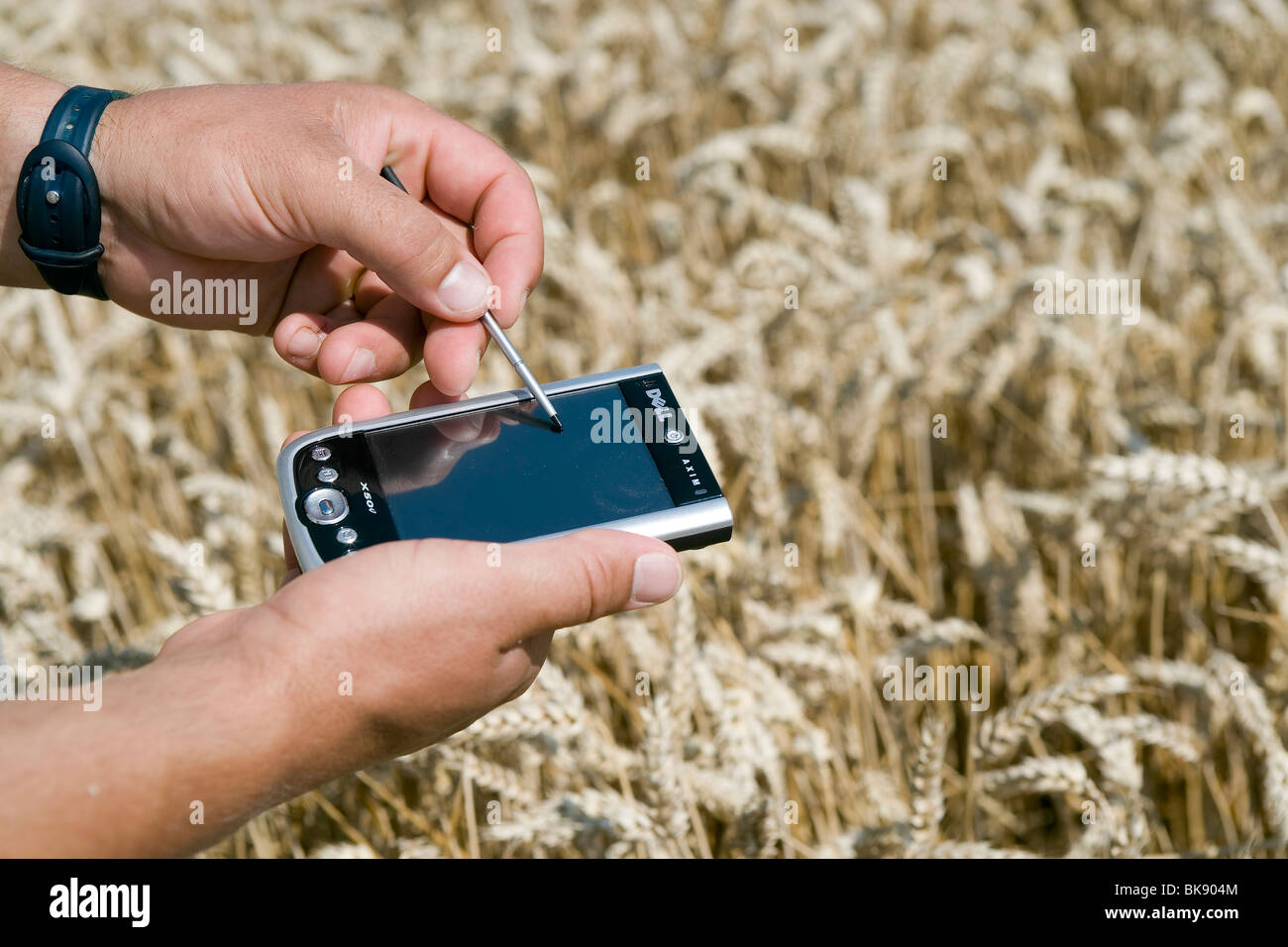 Seed trial hi-res stock photography and images - Alamy