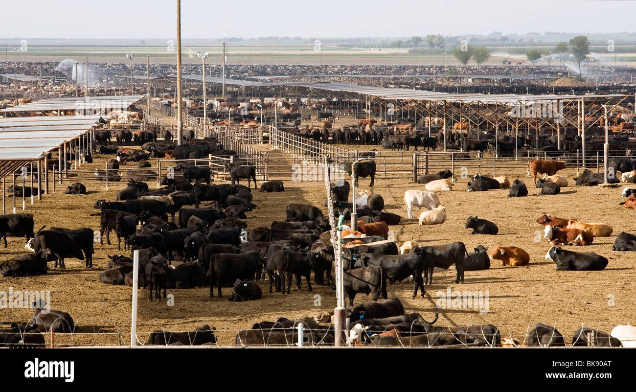United States: ranch in California Stock Photo - Alamy