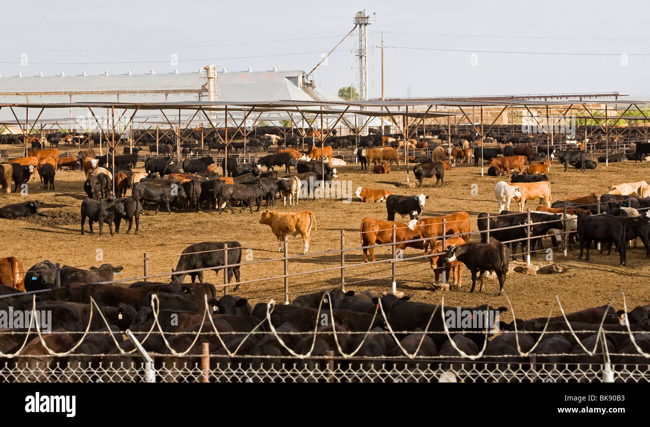 United States: ranch in California Stock Photo - Alamy