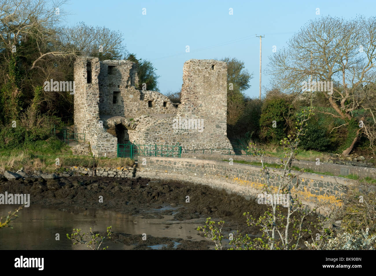 Mahee Castle Tower House Stock Photo - Alamy