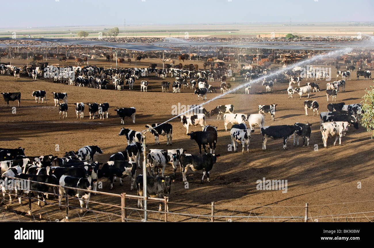 United States: ranch in California Stock Photo - Alamy