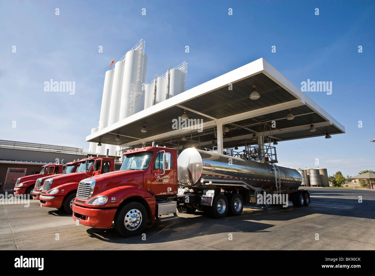 United States: dairy in California Stock Photo - Alamy