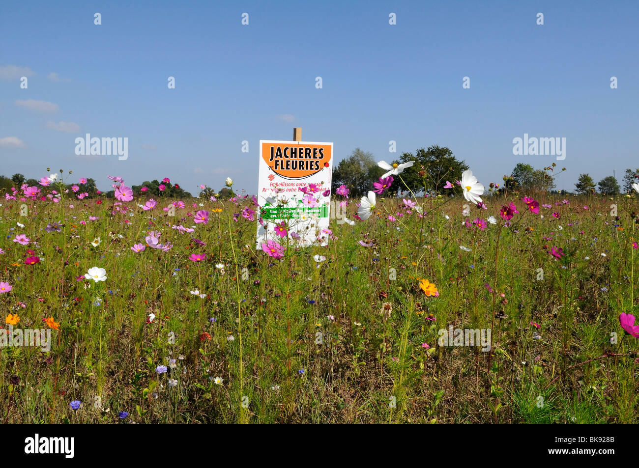 Fallowing land hi-res stock photography and images - Alamy
