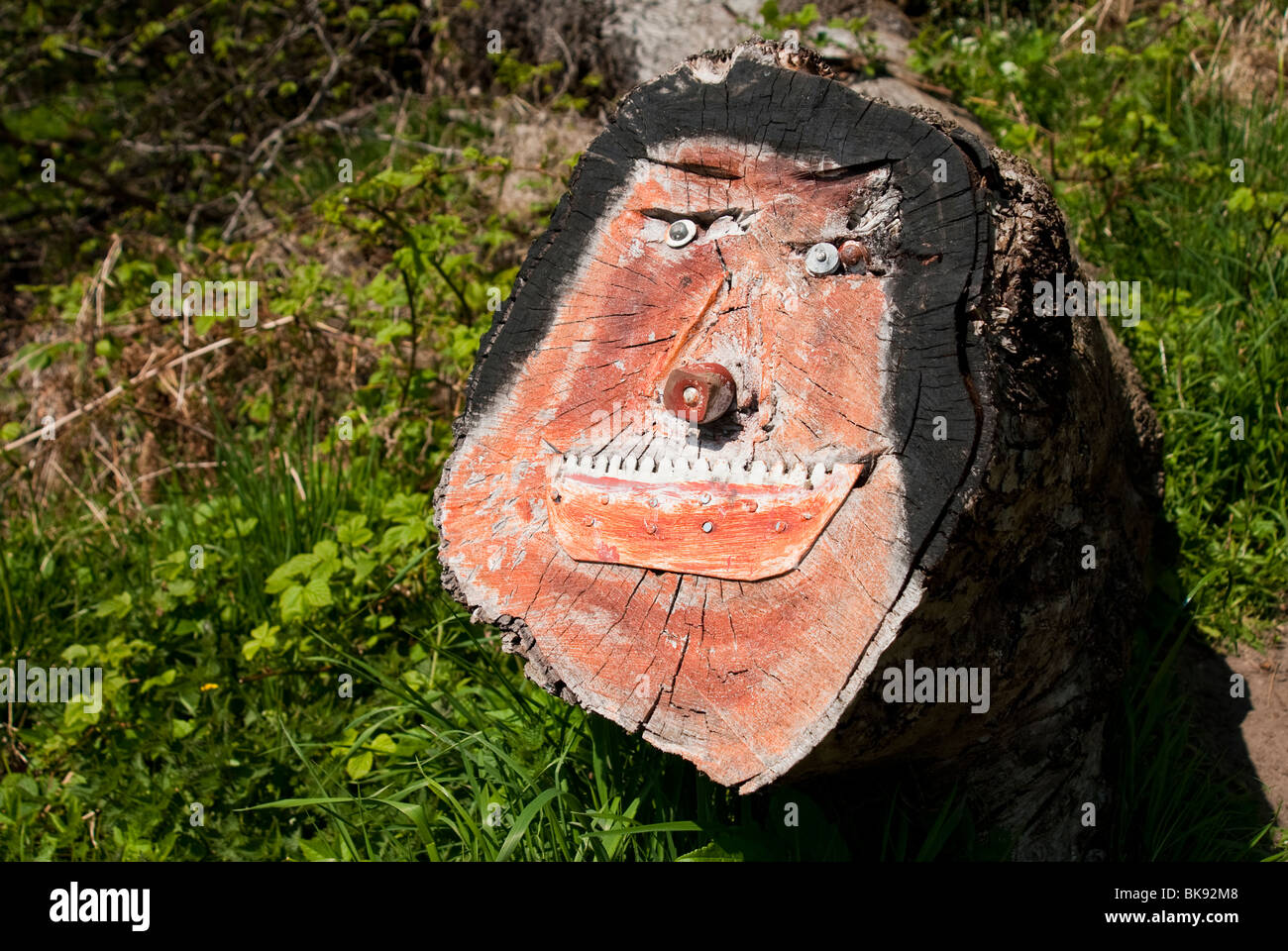 Graphitti Art on Log End Stock Photo - Alamy