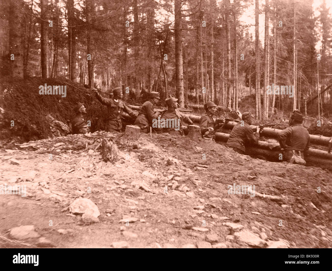 Trench in a forest, historic photograph, around 1940 Stock Photo - Alamy
