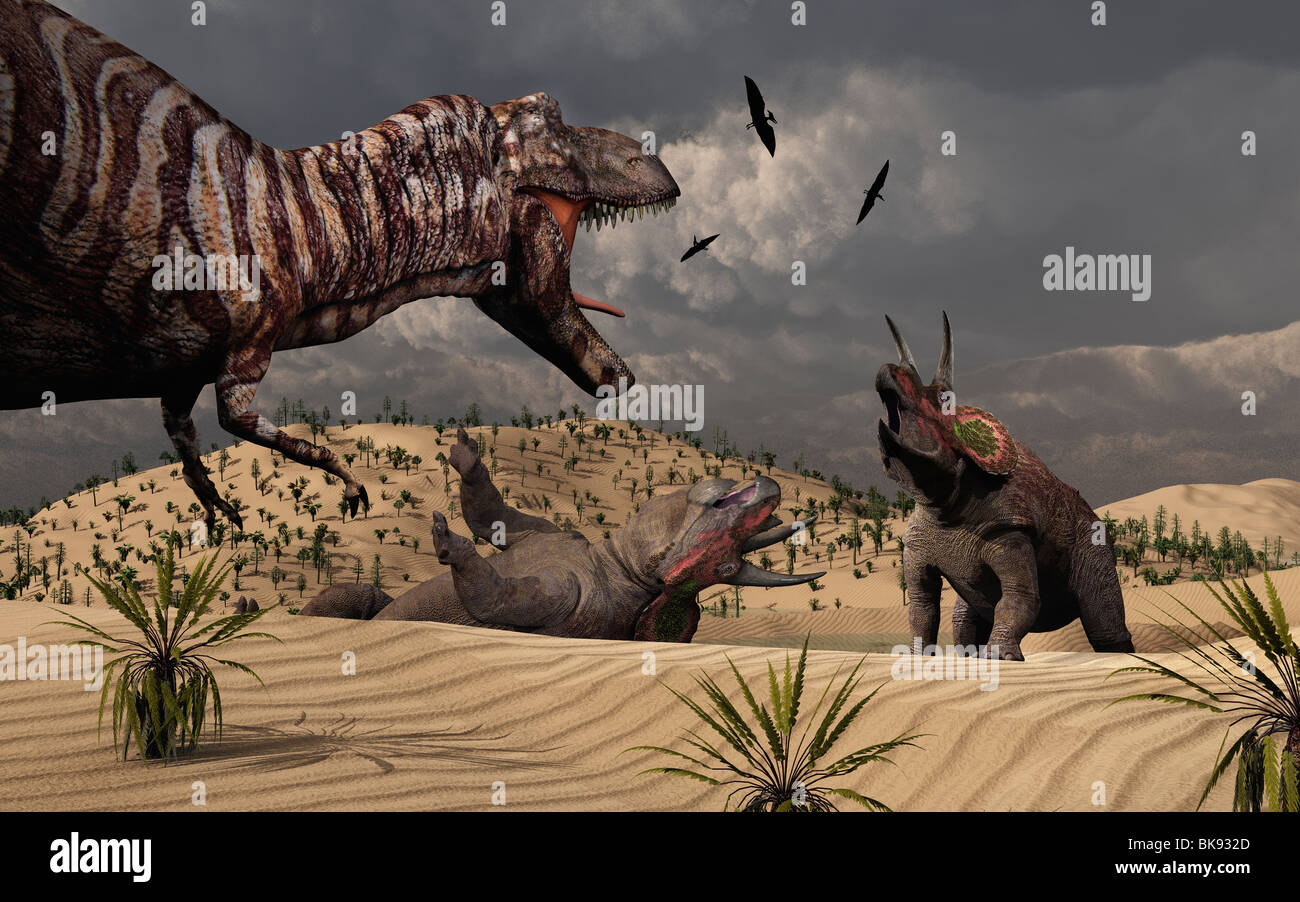 Dinosaurs Triceratops Vs T Rex Dinosaurs Triceratops Vs T Rex