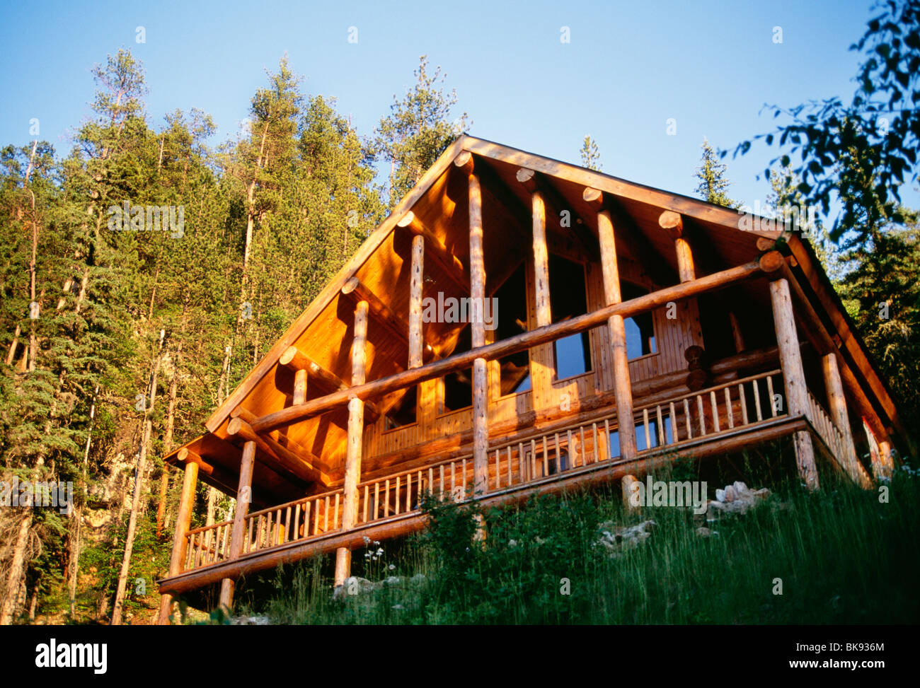 Modern log house hi-res stock photography and images - Alamy