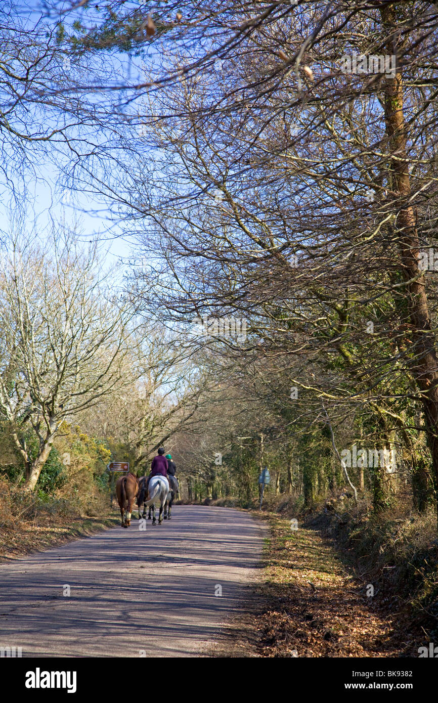Women with horses on Devon country road in Spring Stock Photo - Alamy