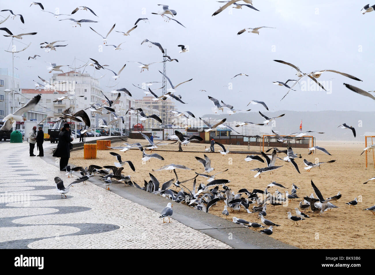 Nazaré (Portugal) : seaside in winter Stock Photo - Alamy
