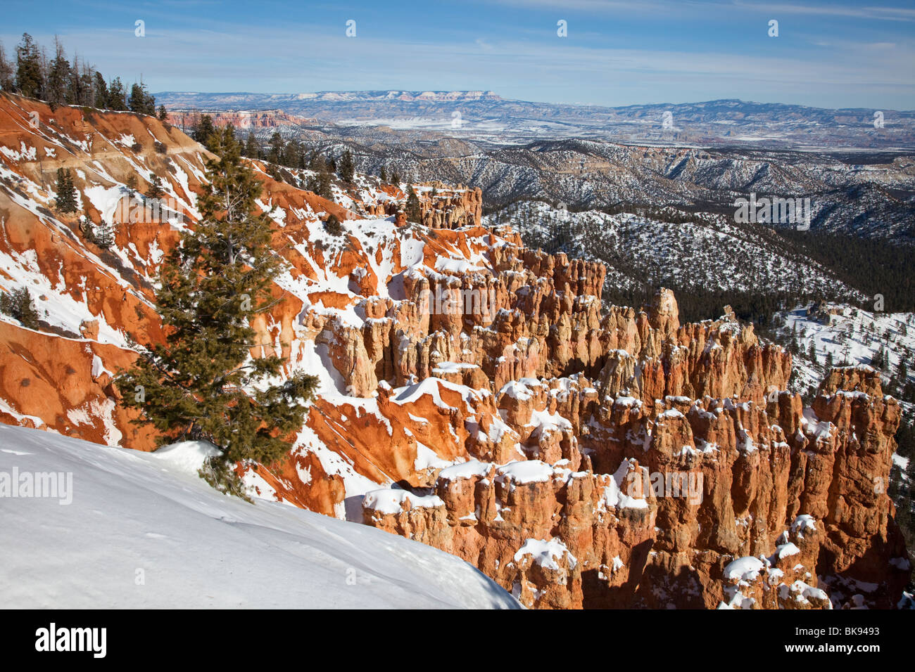 As viewed from Ponderosa Point, thin, protruding spires of rock ...