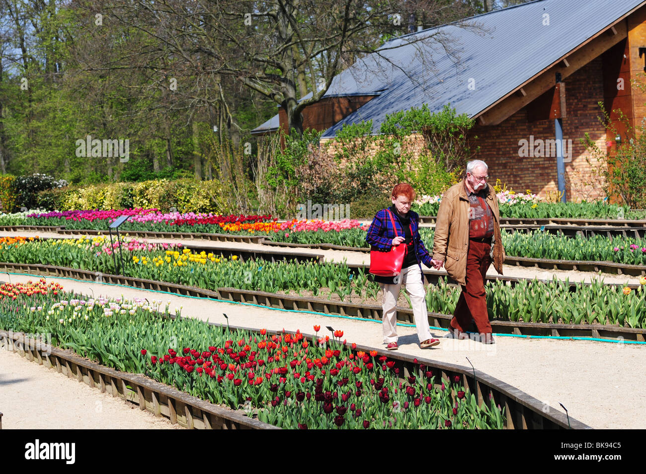 Tulips in Paris, parc Floral Stock Photo - Alamy