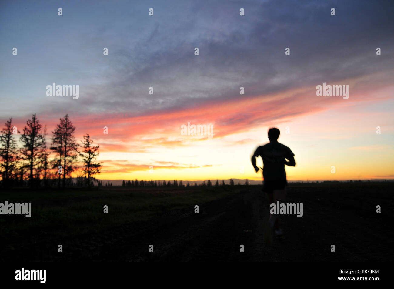 silhouette of a man jogging alone at sunset Stock Photo - Alamy