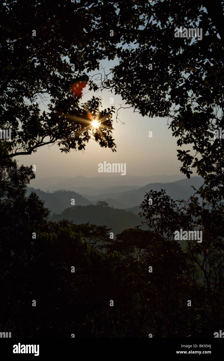 Hills of Kumily / Thekkady area are full of spice and tea plantations ...