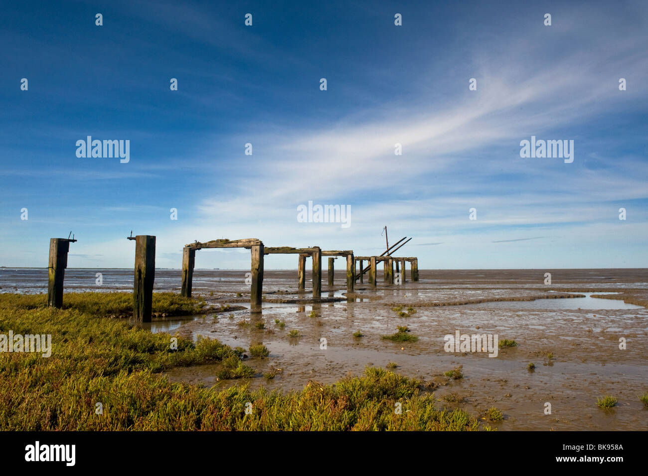 Snettisham, norfolk hi-res stock photography and images - Alamy