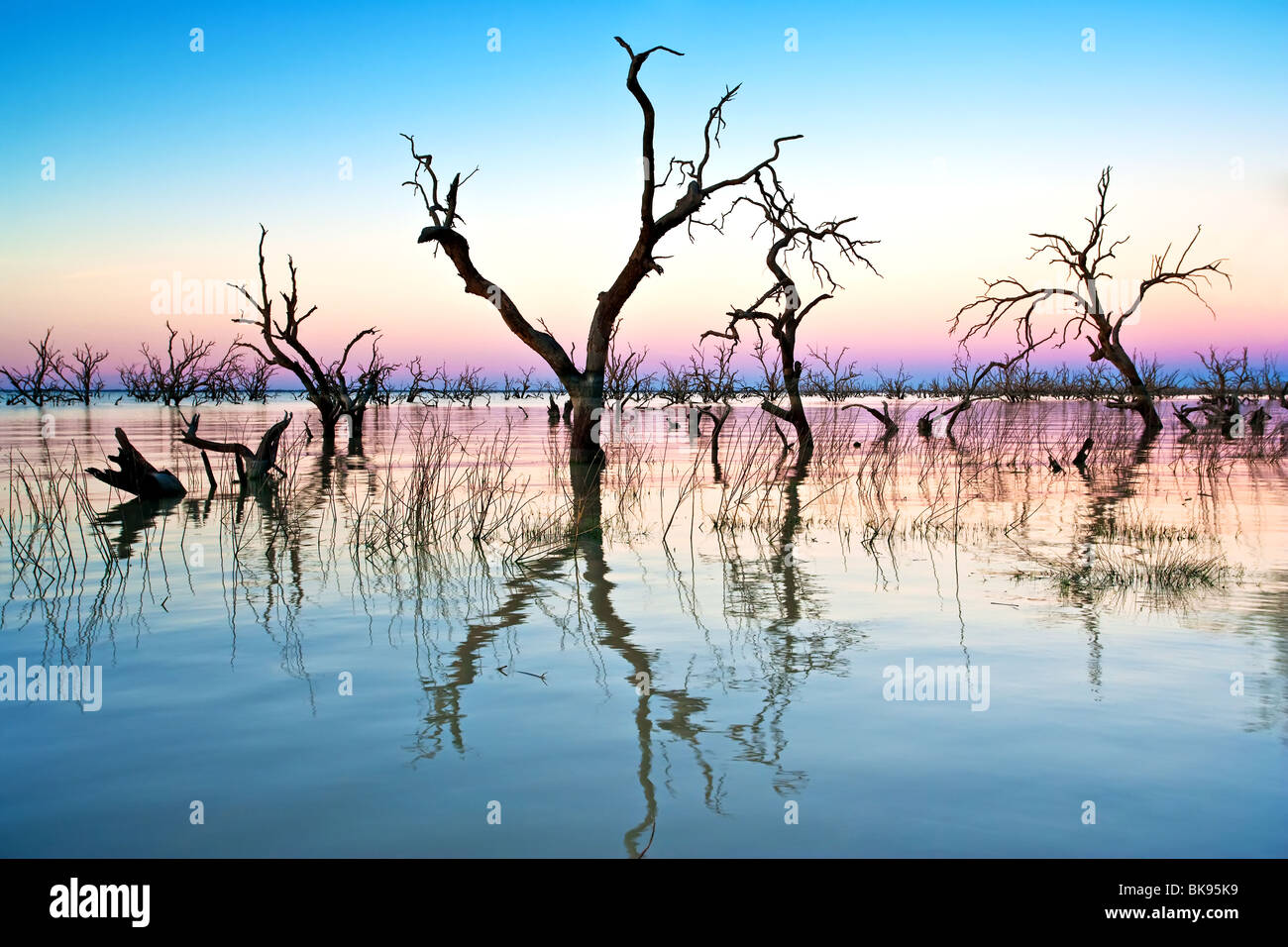 Pamamaroo hi-res stock photography and images - Alamy