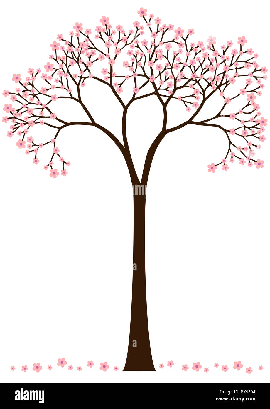 Botany flowering branch cherry Cut Out Stock Images & Pictures - Alamy