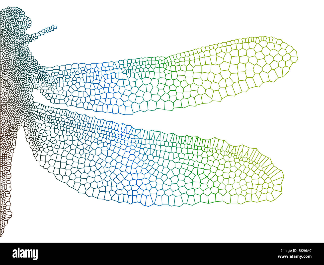 Ornamental dragonfly hi-res stock photography and images - Alamy