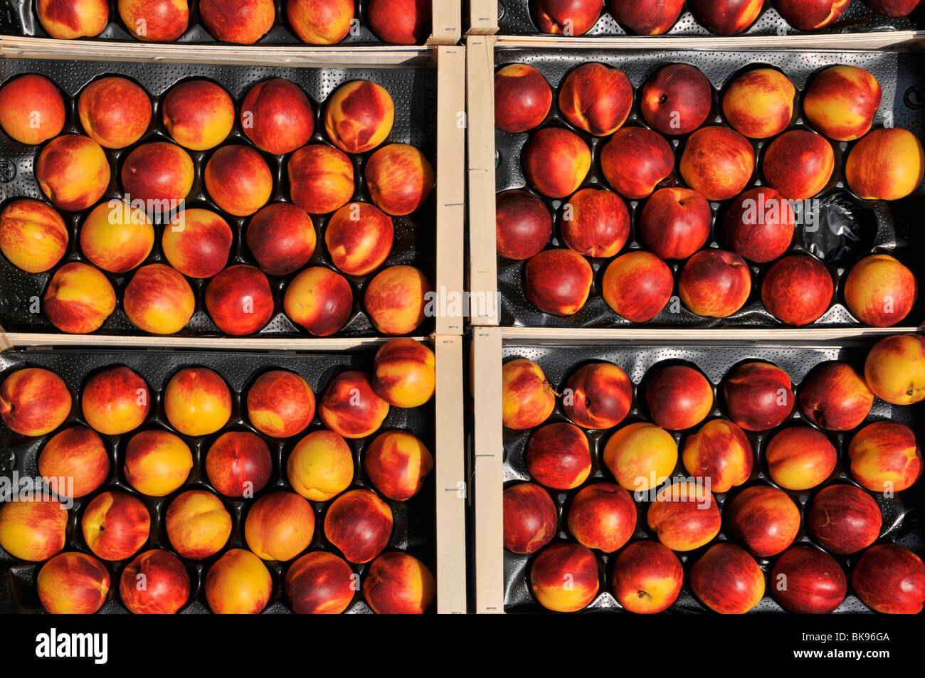 Uk nectarines hi-res stock photography and images - Alamy