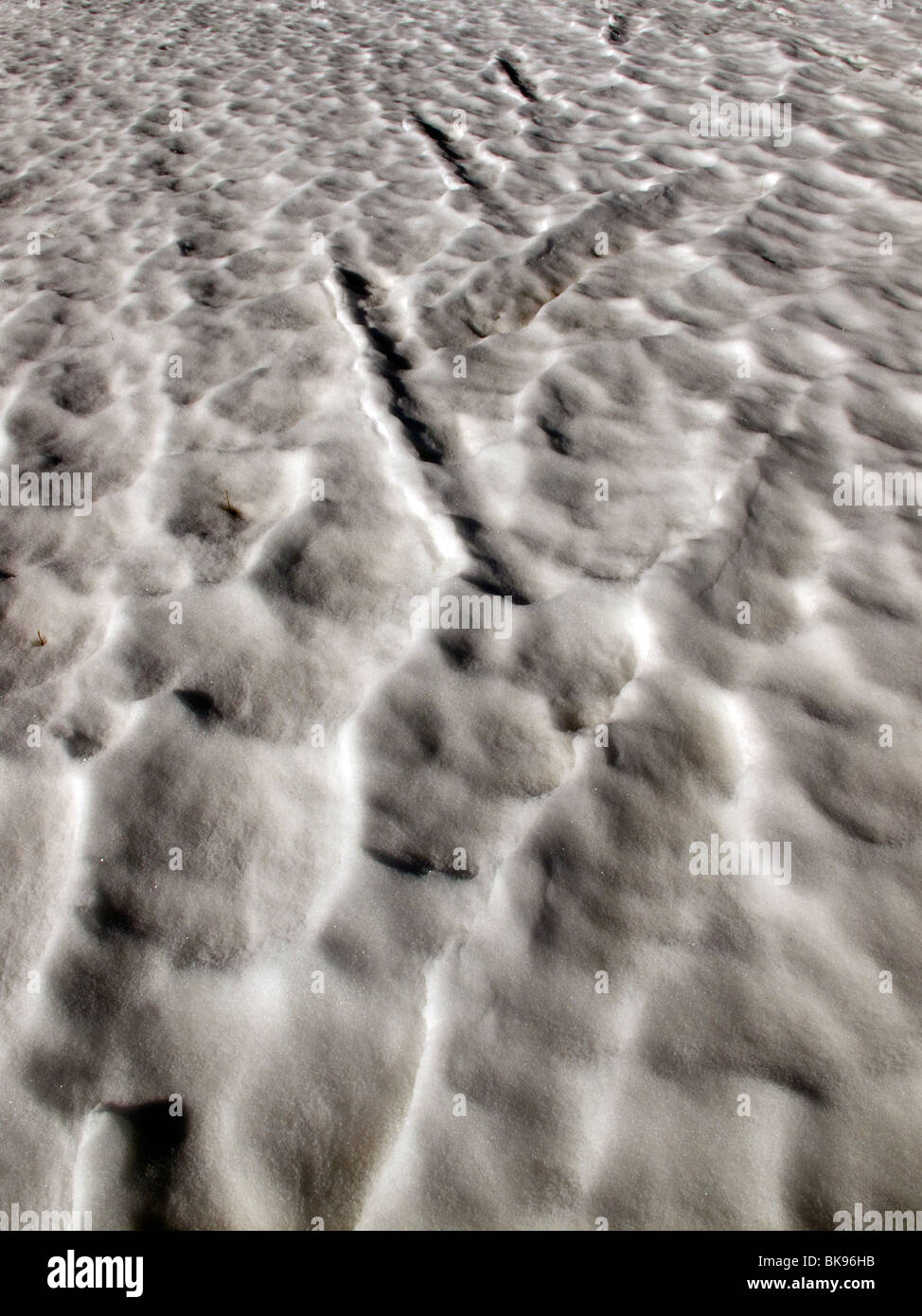 Patterns in snow Stock Photo - Alamy
