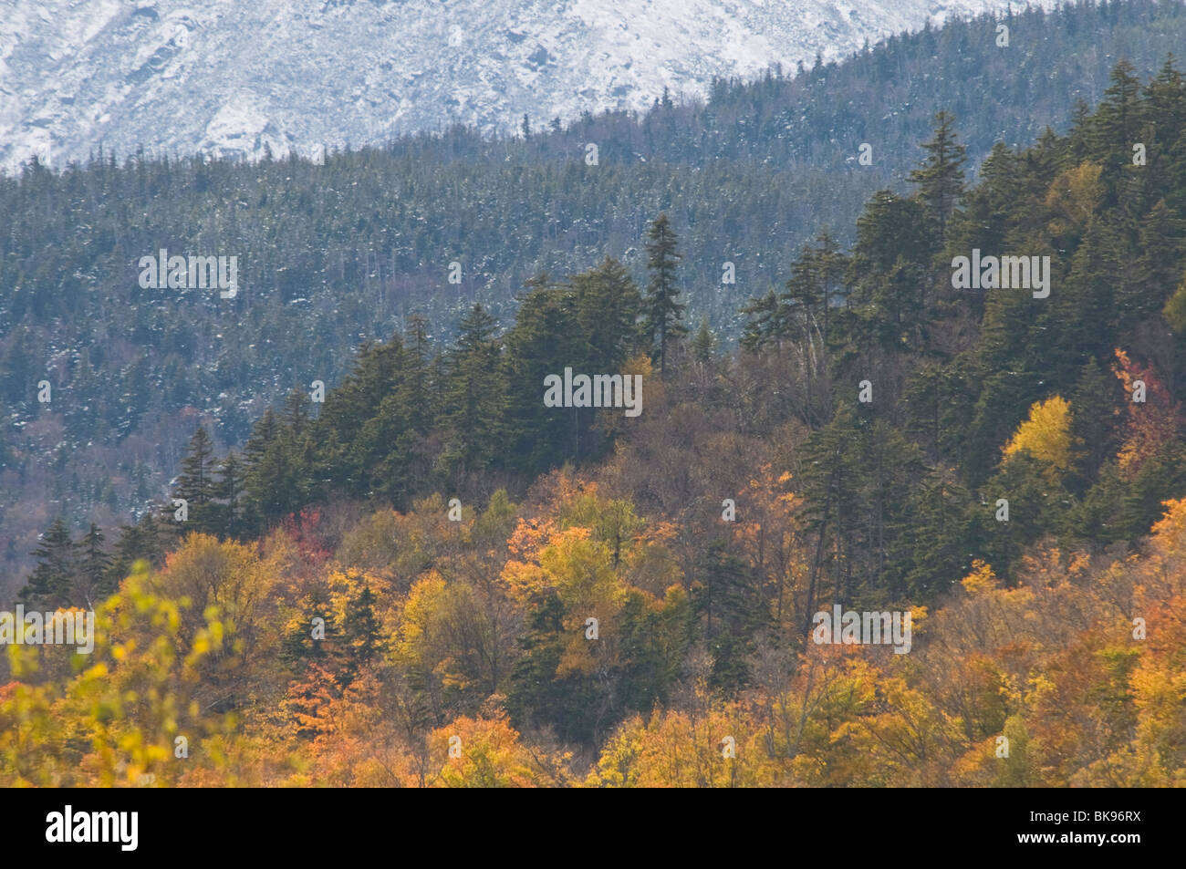 Autumn Foliage,Mount Washington,White Mountain National Forest,First ...